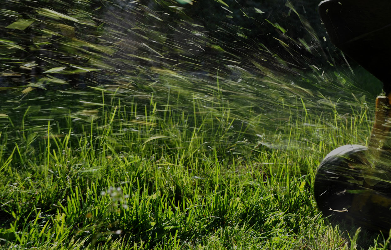 Cut-Rite Lawncare & Landscaping – Residential and Commercial